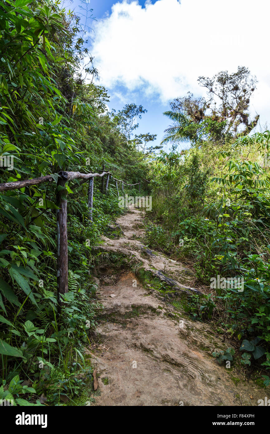 Pathway leading up into the hills in Cienfuegos Stock Photo - Alamy