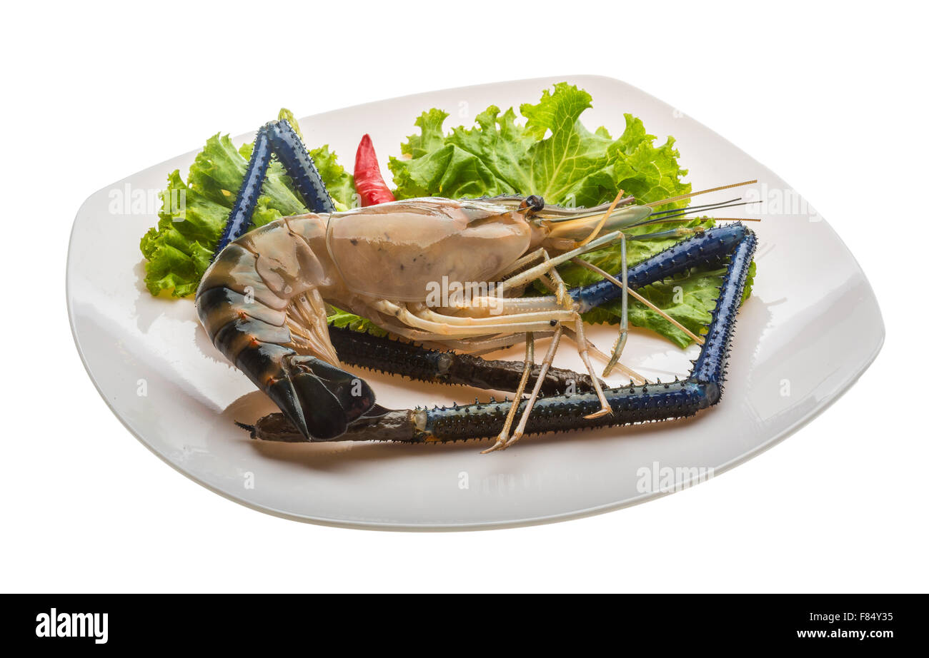 Big Freshwater prawn ready for cooking Stock Photo - Alamy
