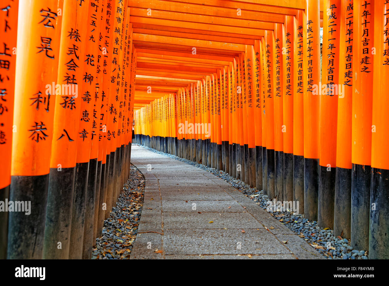 Fushimi Inari Shrine Torii temple in kyoto Japan Stock Photo - Alamy