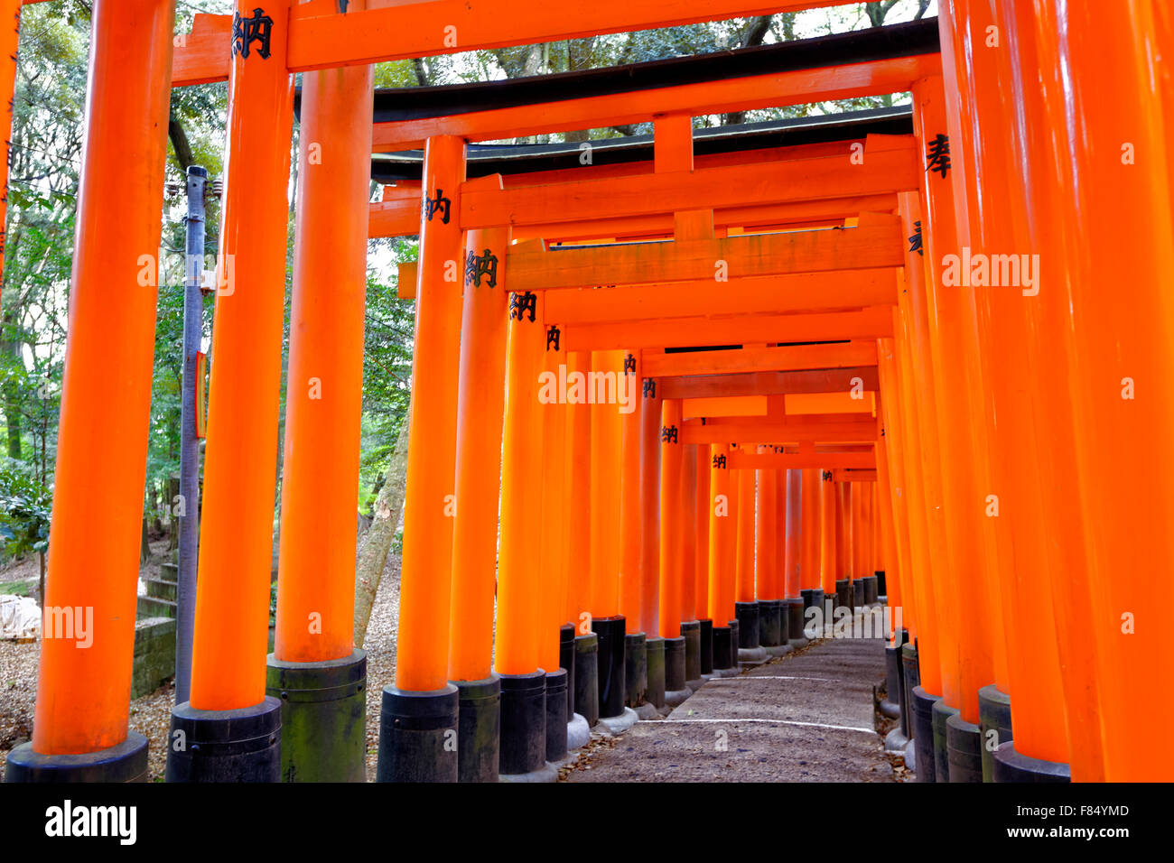 Fushimi Inari Shrine Torii temple in kyoto Japan Stock Photo - Alamy
