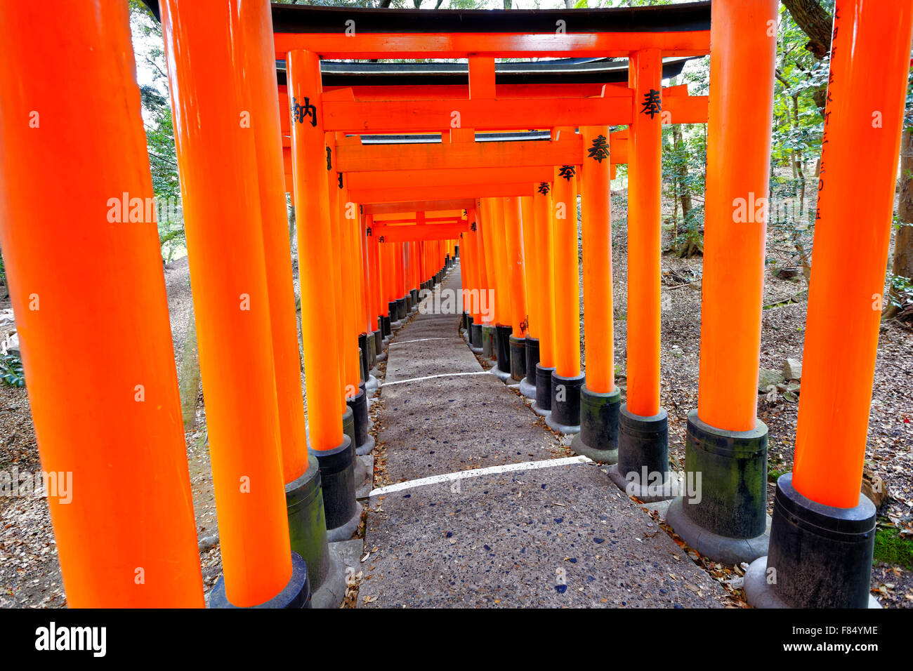 Fushimi Inari Shrine Torii temple in kyoto Japan Stock Photo - Alamy