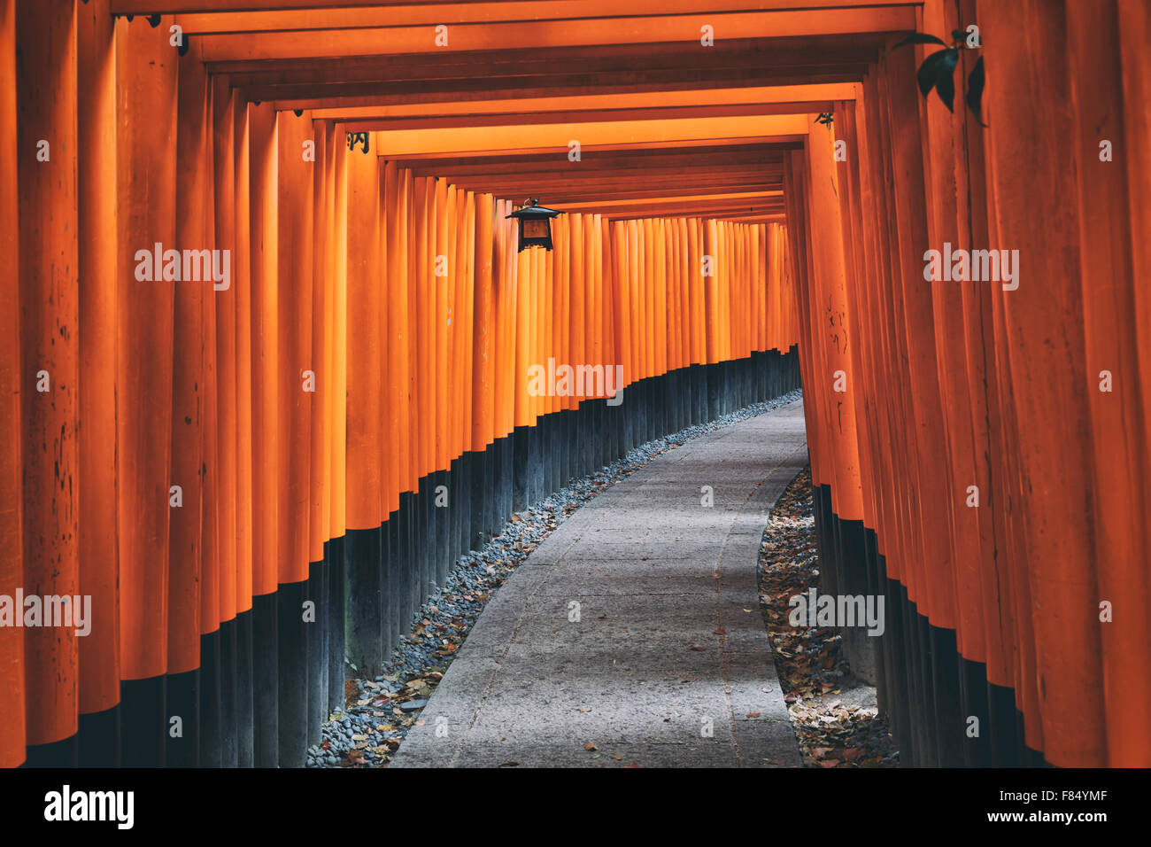 Fushimi Inari Shrine Torii temple in kyoto Japan Stock Photo - Alamy