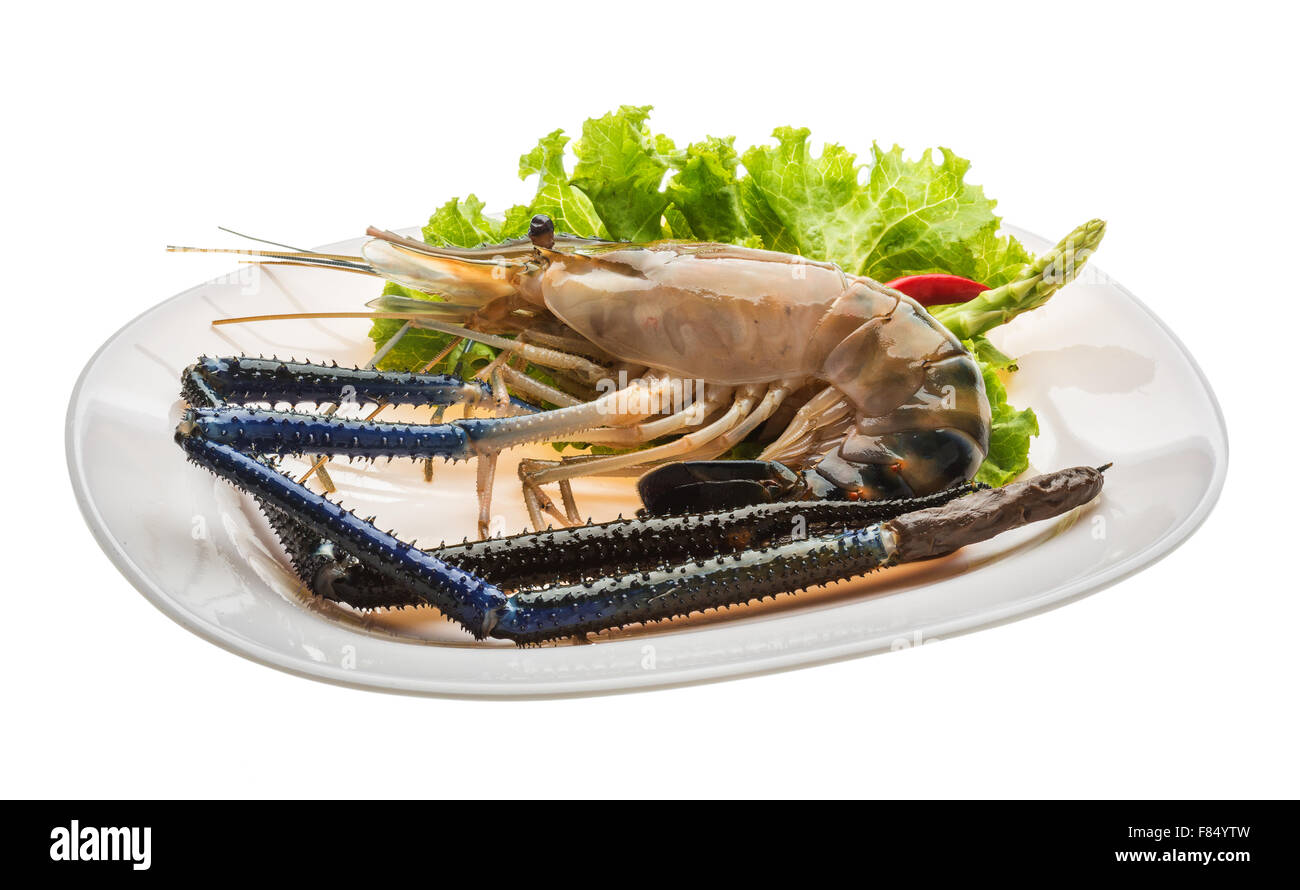 Big Freshwater prawn ready for cooking Stock Photo - Alamy