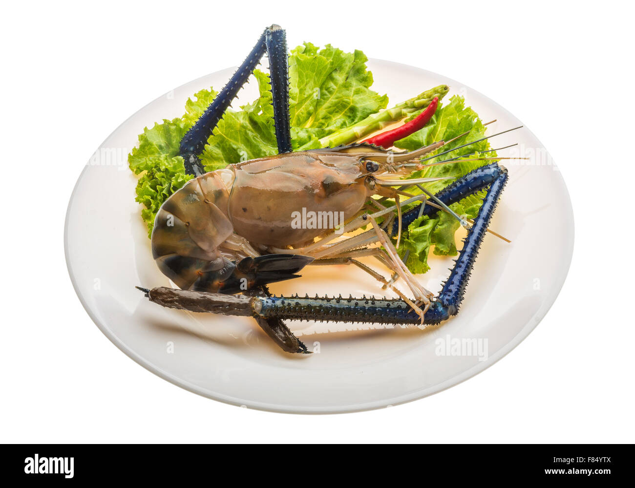 Big Freshwater prawn ready for cooking Stock Photo - Alamy