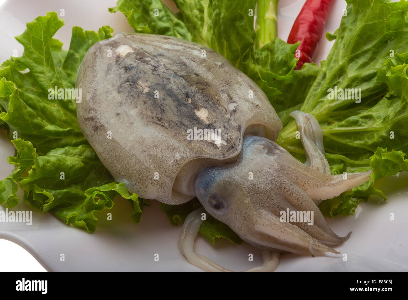 Raw cuttlefish ready for cooking Stock Photo - Alamy