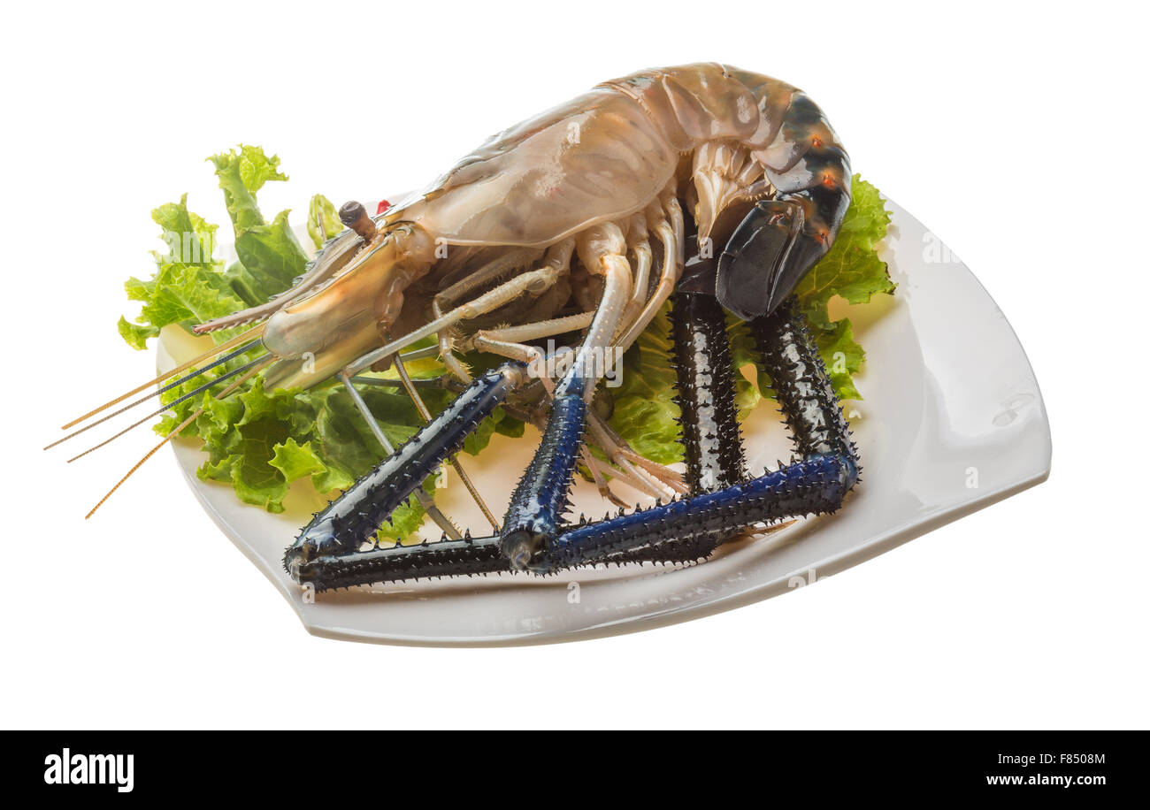Big Freshwater prawn ready for cooking Stock Photo - Alamy
