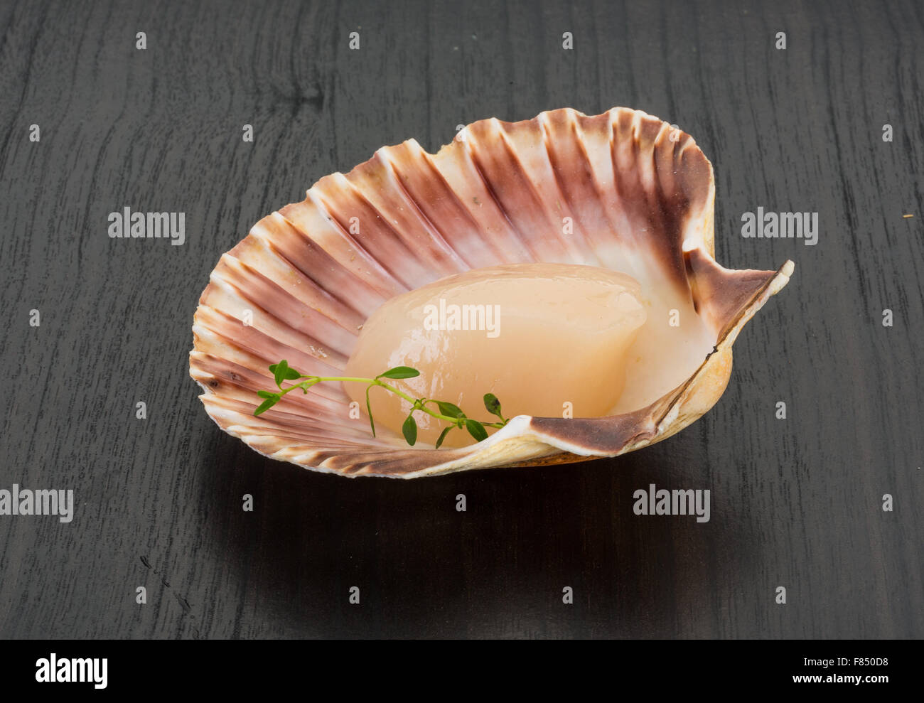 Raw scallops in the shell Stock Photo - Alamy