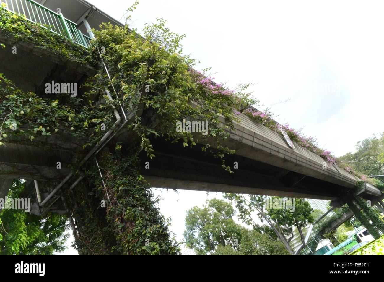 a overpass bridge between greenery and people are walking over it in ...