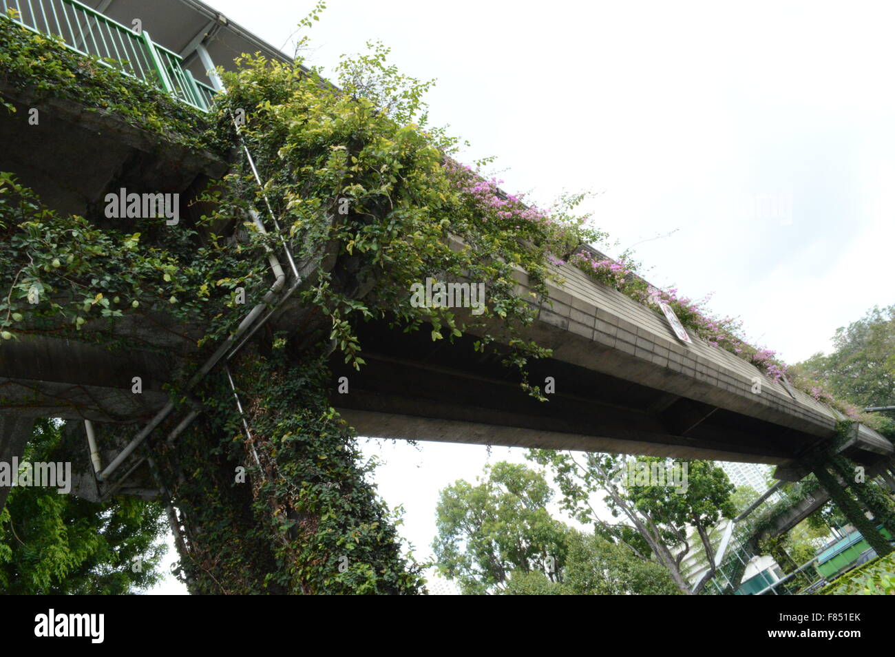 a overpass bridge between greenery and people are walking over it in ...