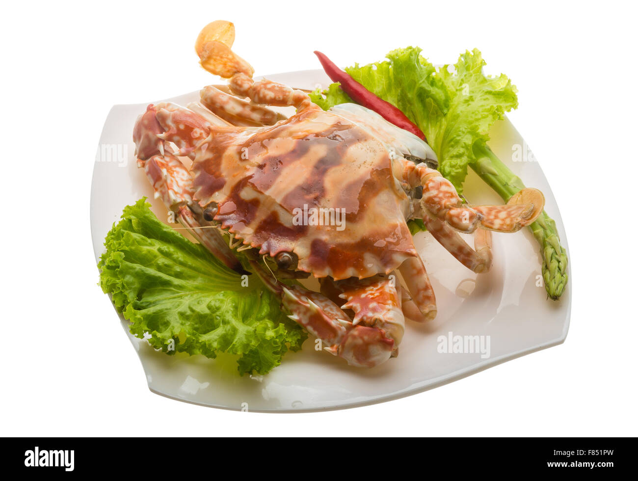 Red crab isolated on white Stock Photo - Alamy