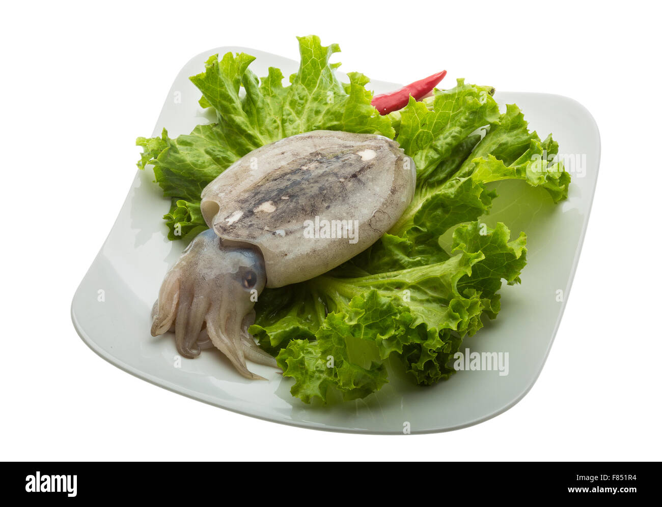 Raw cuttlefish ready for cooking Stock Photo - Alamy