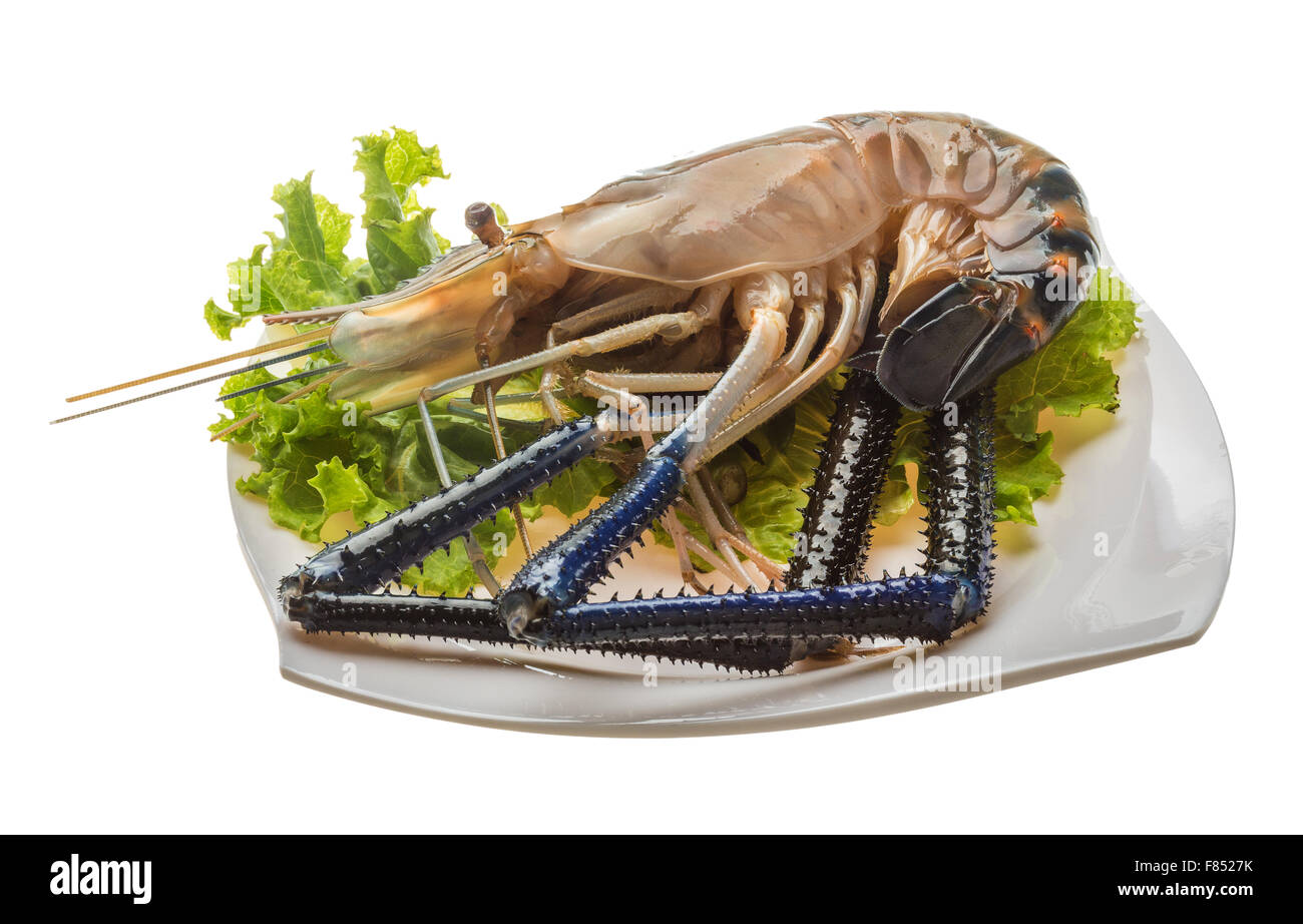 Big Freshwater prawn ready for cooking Stock Photo - Alamy