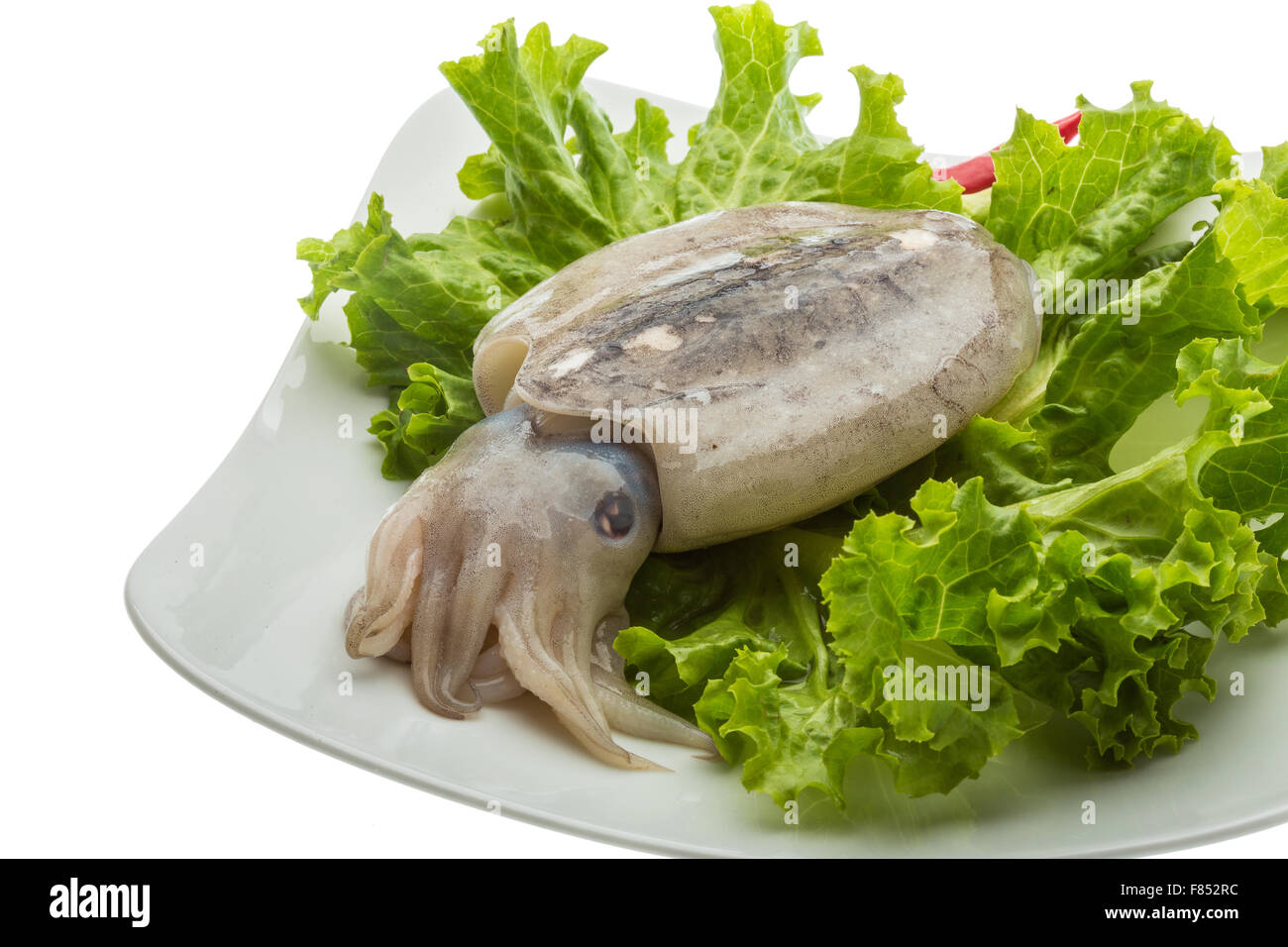 Raw cuttlefish ready for cooking Stock Photo - Alamy