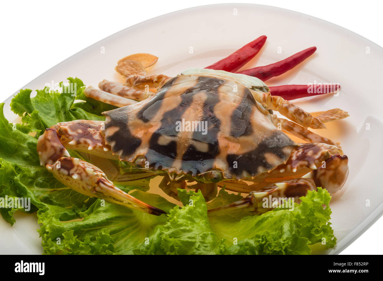 Red crab isolated on white Stock Photo - Alamy