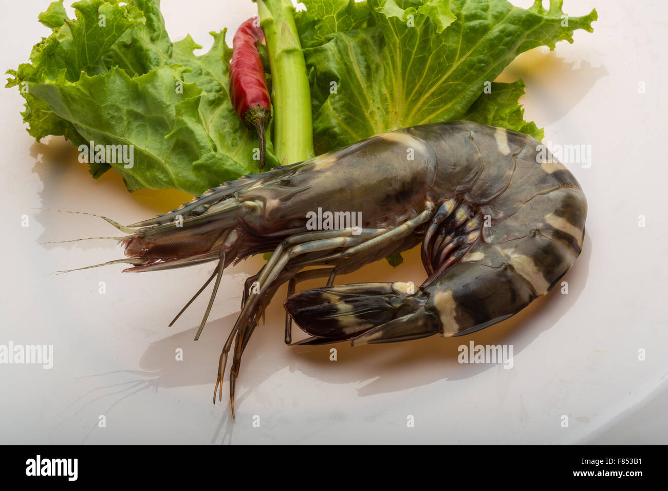 Raw Tiger prawn ready for cooking Stock Photo - Alamy