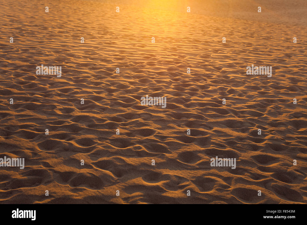 Sunset lights of the sand beach Stock Photo - Alamy