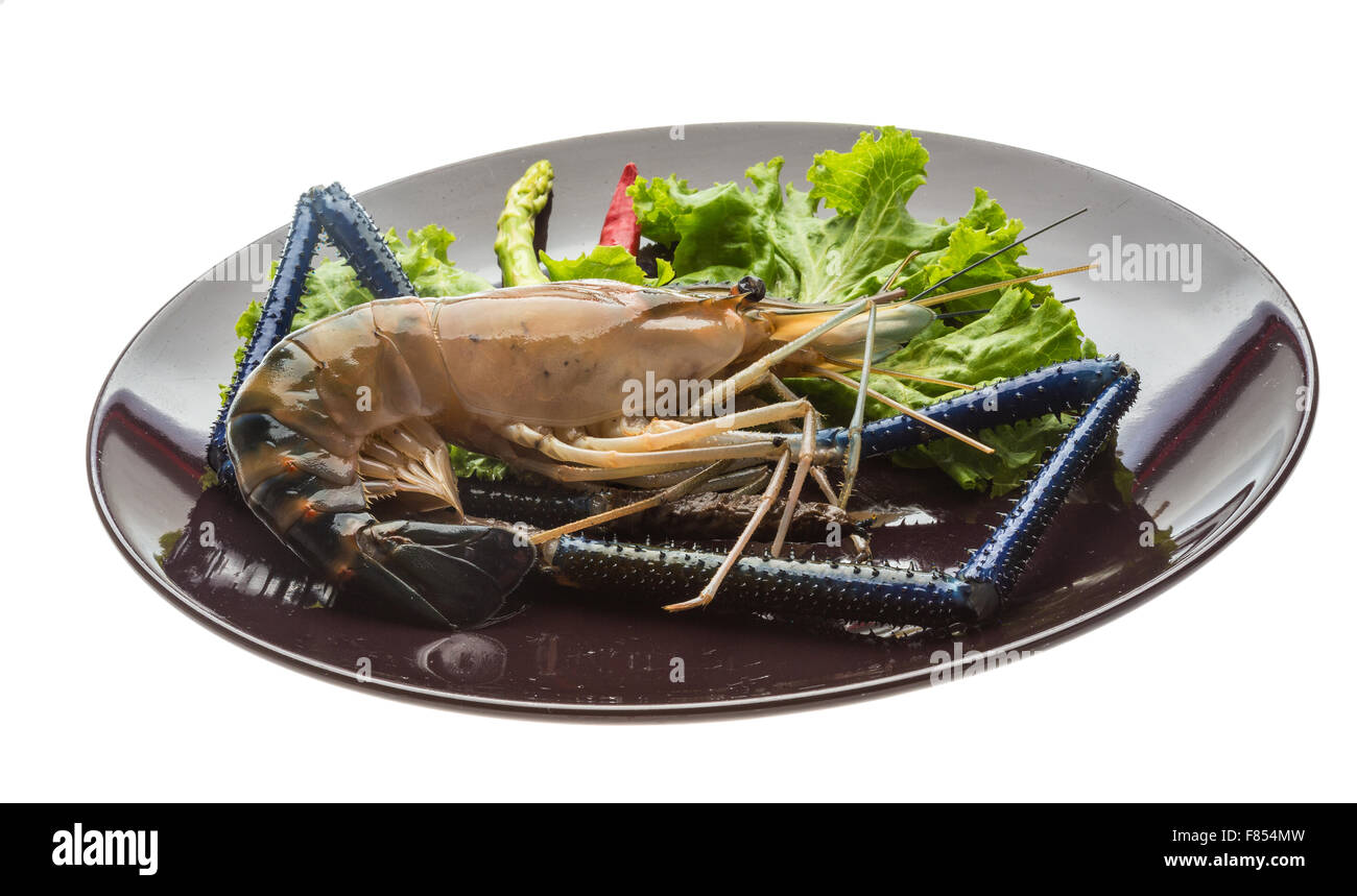Big Freshwater prawn ready for cooking Stock Photo - Alamy