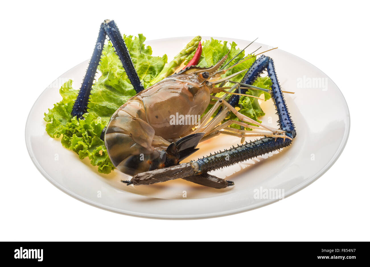 Big Freshwater prawn ready for cooking Stock Photo - Alamy