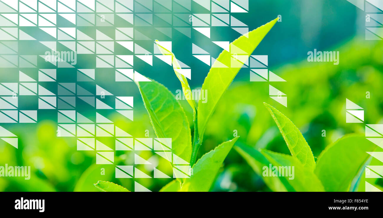 Polygon Shape Mosaic Design Abstract Transparent Concept Stock Photo ...
