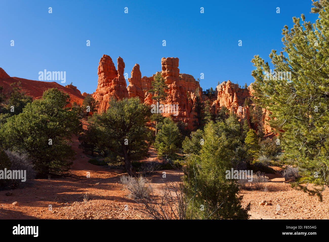 Red canyon columns in Utah Stock Photo - Alamy