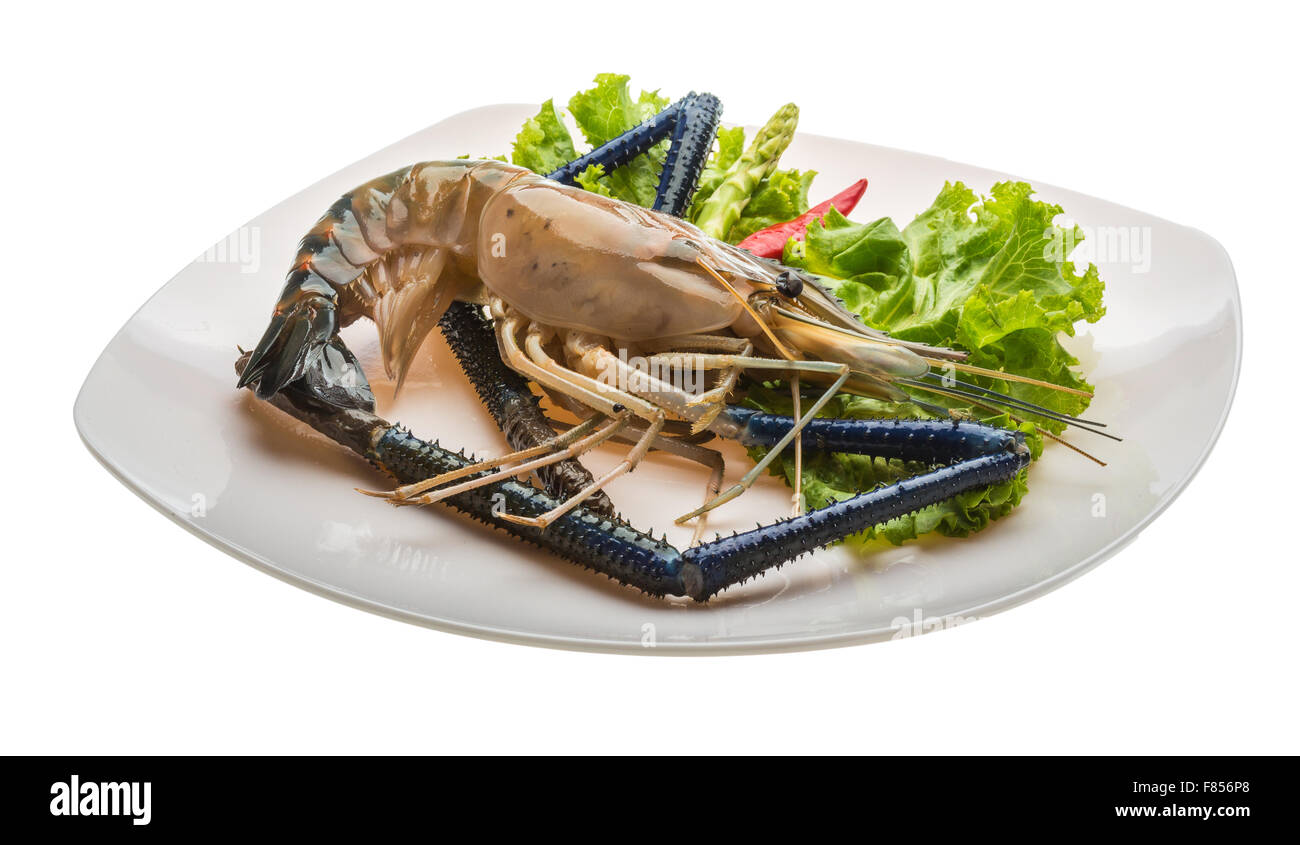 Big Freshwater prawn ready for cooking Stock Photo - Alamy