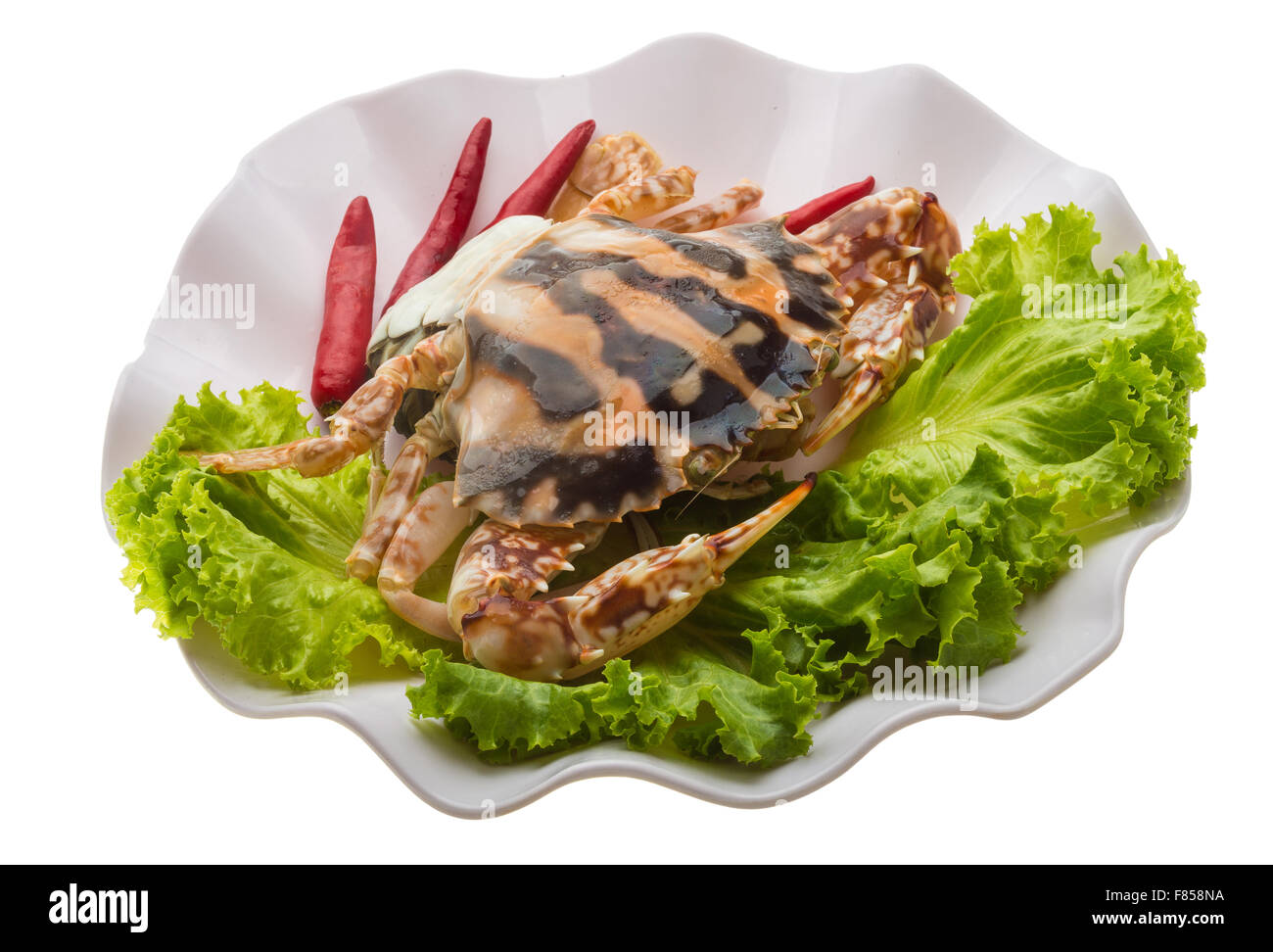 Red crab isolated on white Stock Photo - Alamy
