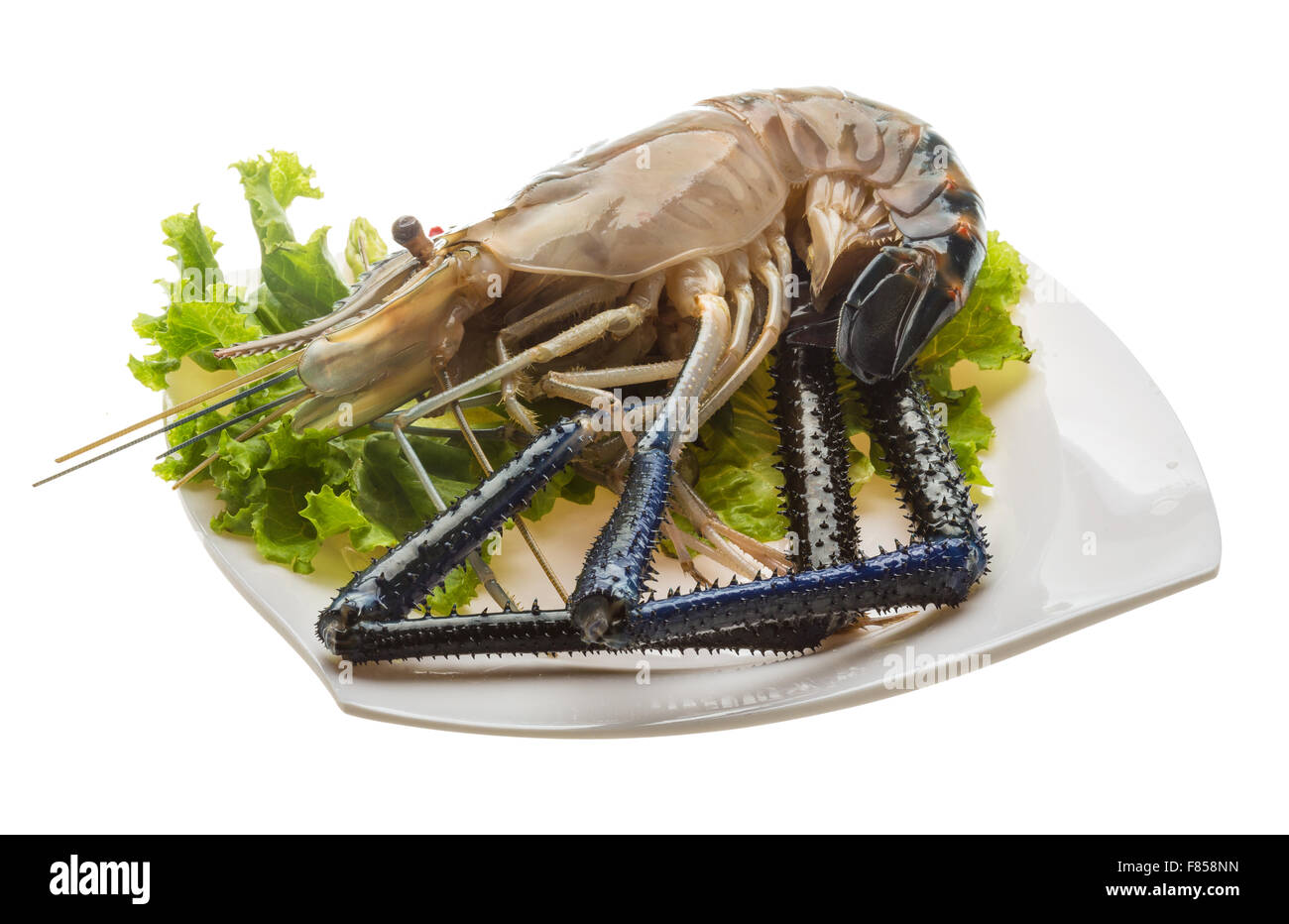 Big Freshwater prawn ready for cooking Stock Photo - Alamy