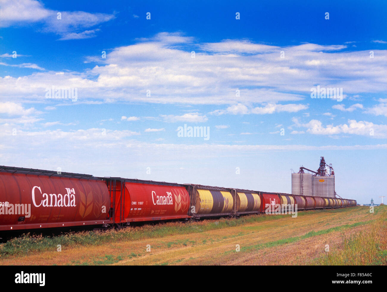 Train at grain elevator, Saskatchewan, Canada Stock Photo - Alamy