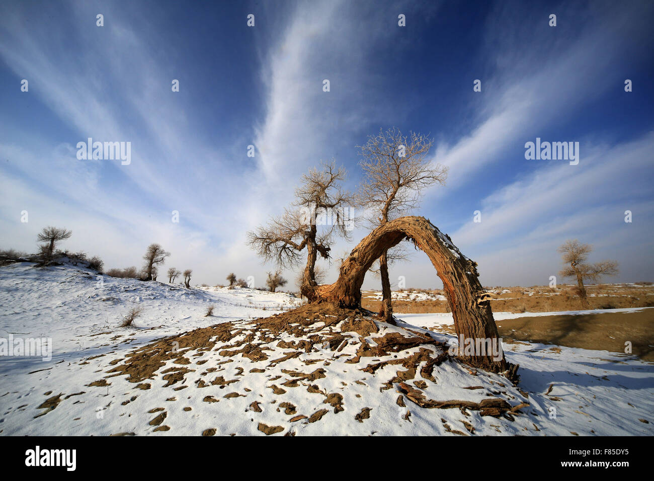 Beijing, China. 22nd Dec, 2014. Photo taken on Dec. 22, 2014 shows the ...