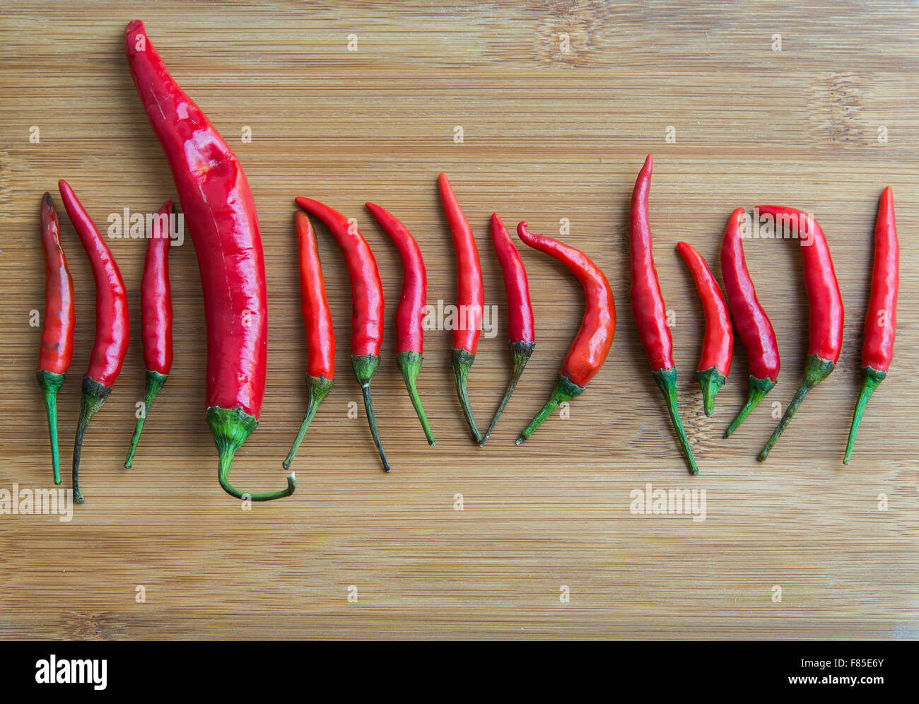 A big Red chilli pepper in small Red chilli pepper on chopping block ...