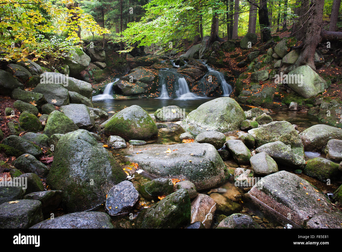 Rocky stream with small waterfall in the mountains Stock Photo - Alamy