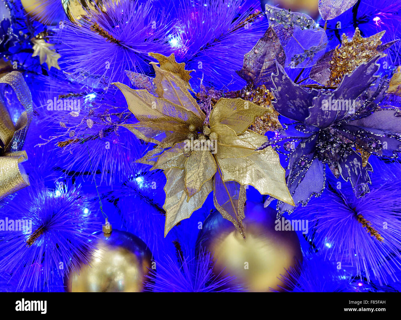 Merry gold flower tree hi-res stock photography and images - Alamy