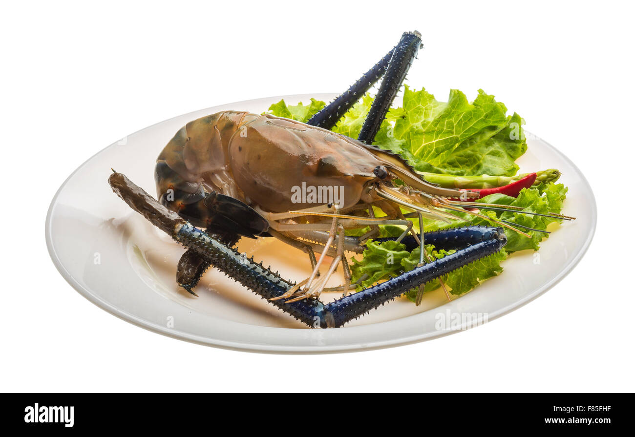 Big Freshwater prawn ready for cooking Stock Photo - Alamy