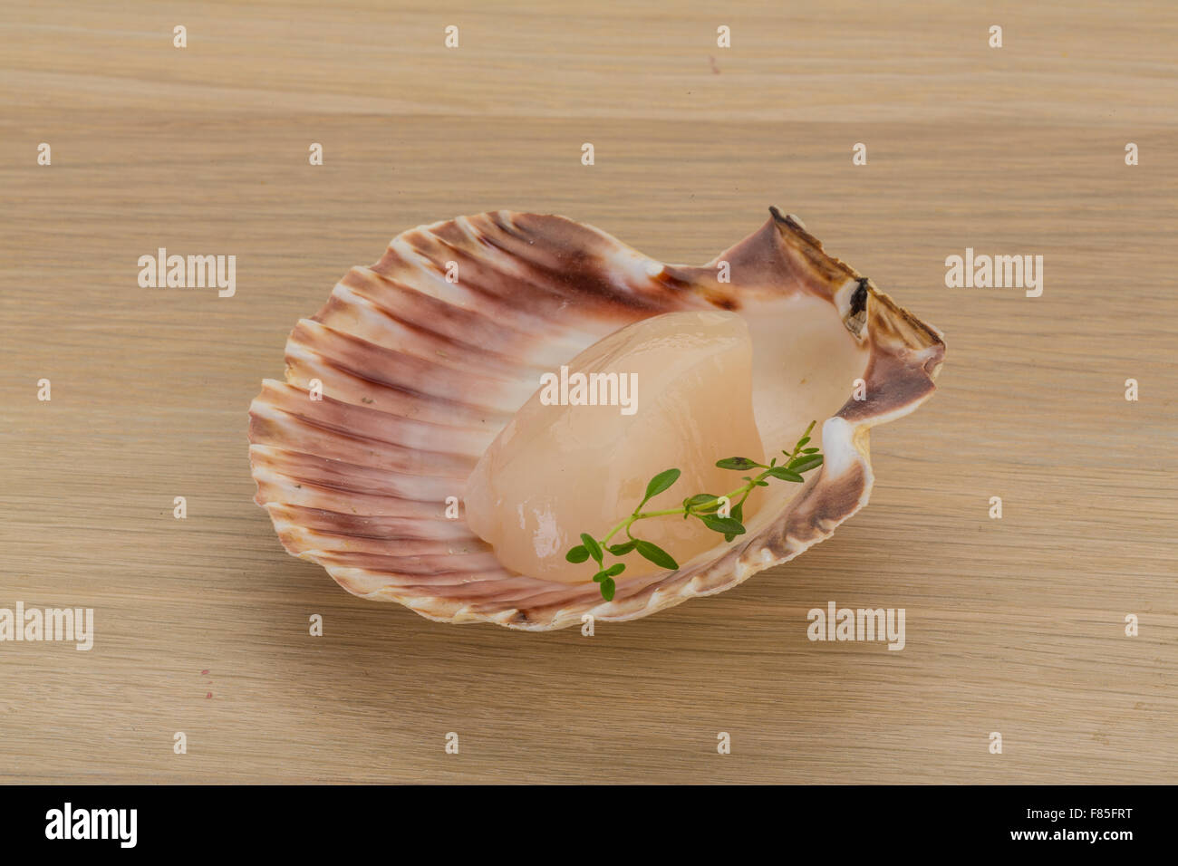 Raw scallops in the shell Stock Photo - Alamy