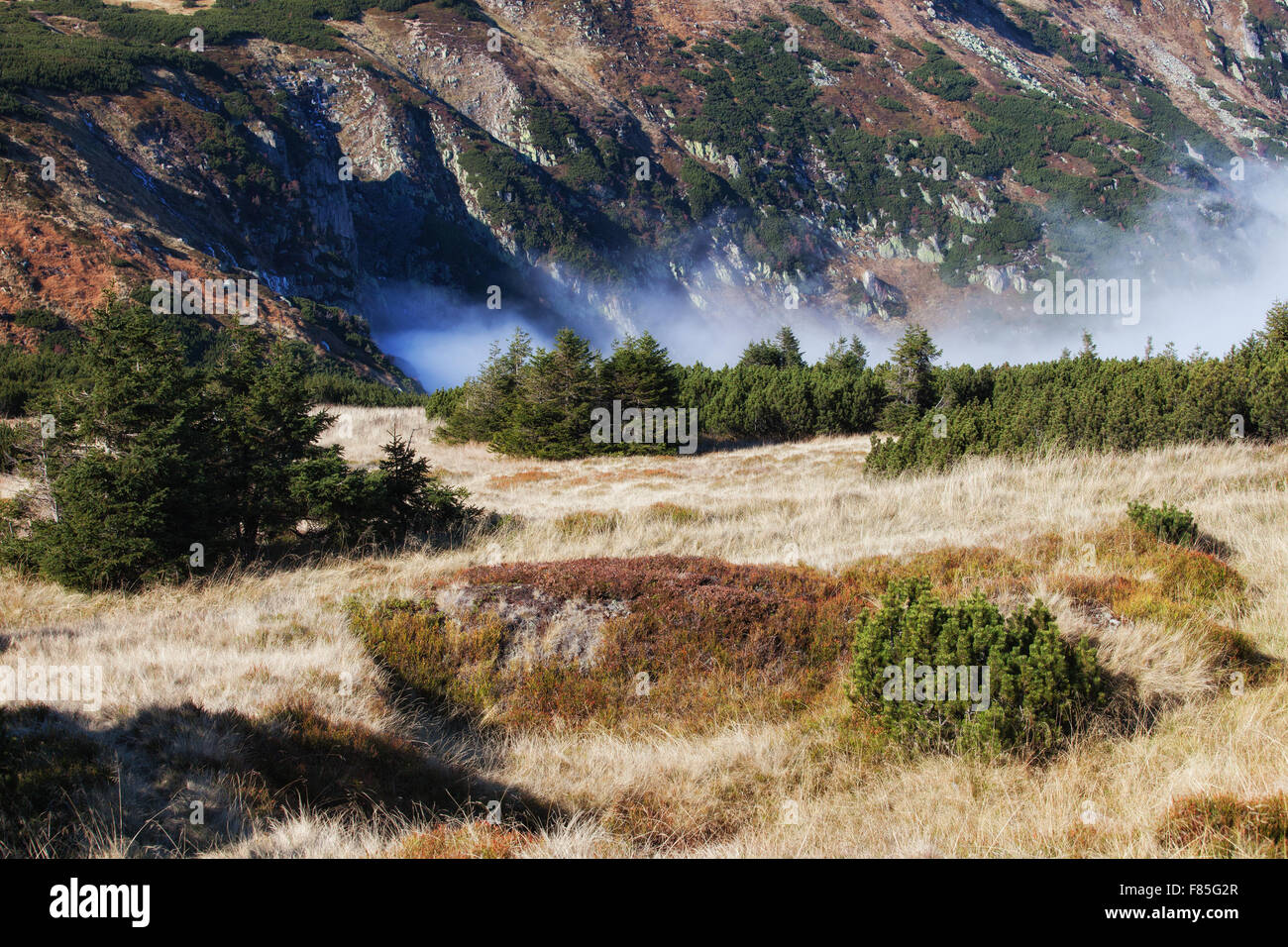 Sudeten mountains hi-res stock photography and images - Alamy