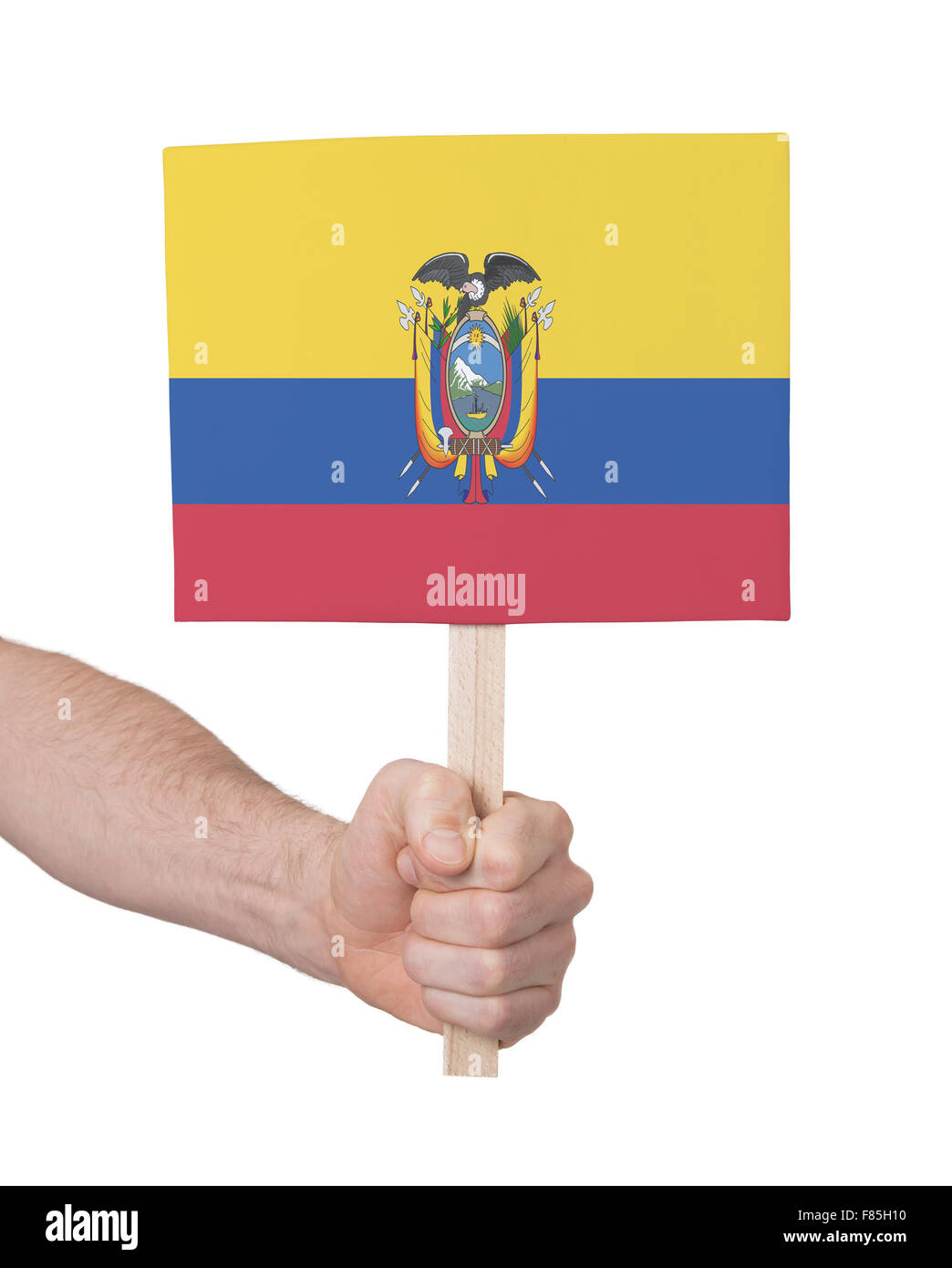 Hand holding ecuadorian flag hi-res stock photography and images - Alamy