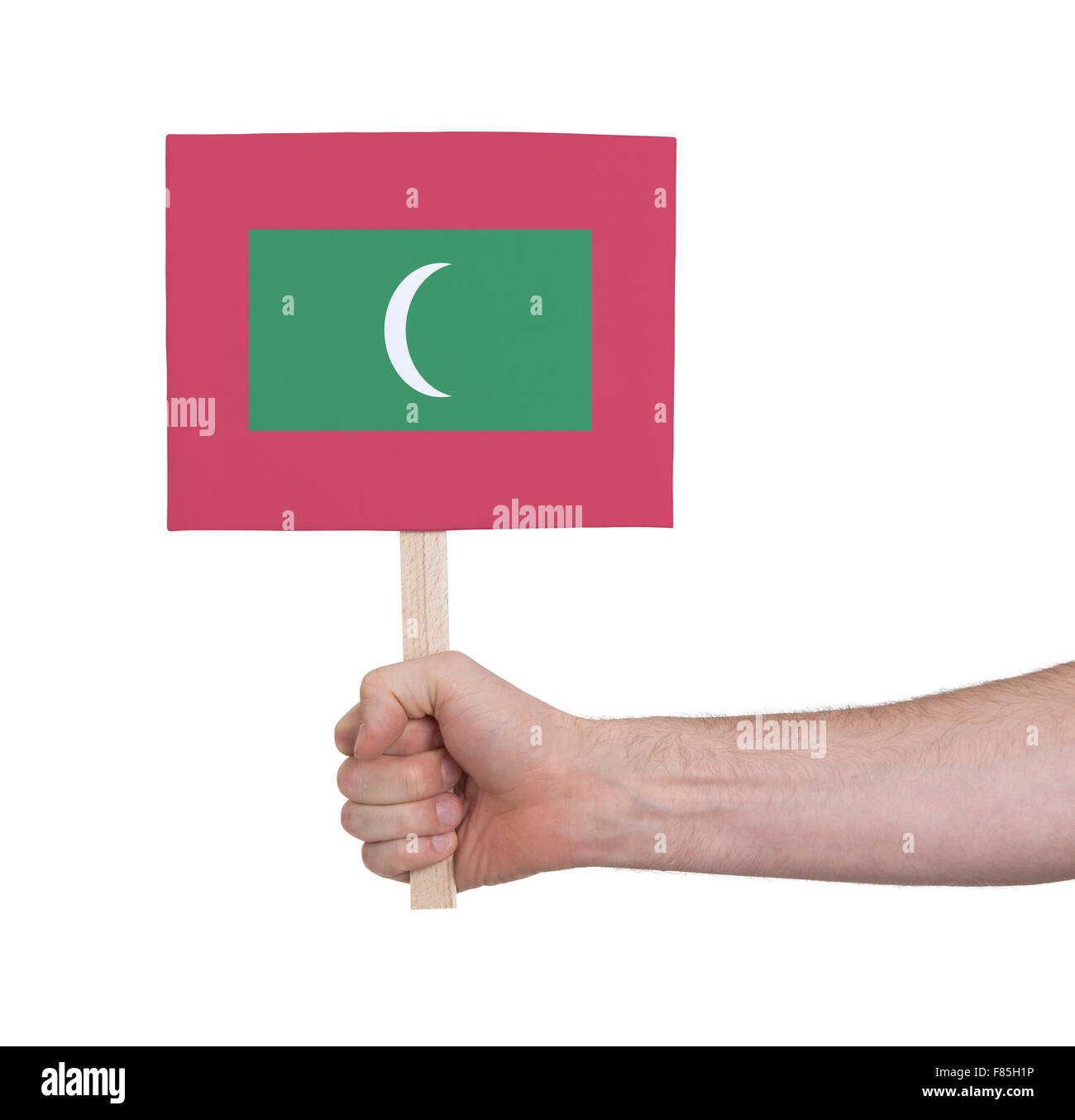 Hand holding small card, isolated on white - Flag of Maldives Stock ...