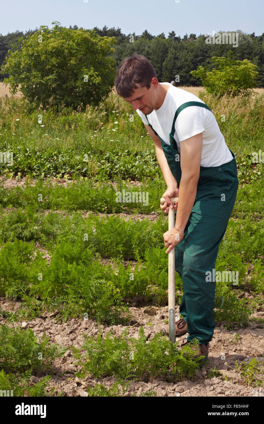 Spade farmer hi-res stock photography and images - Alamy