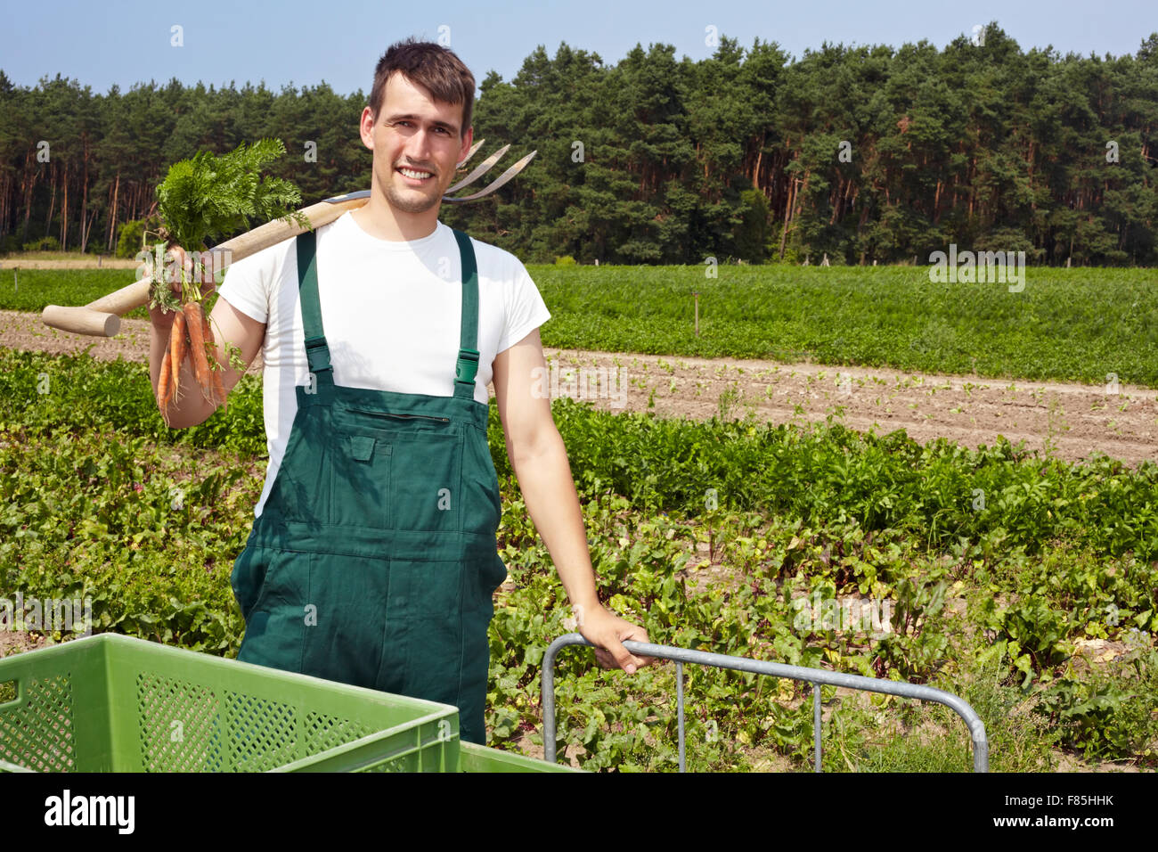 Spade farmer hi-res stock photography and images - Alamy