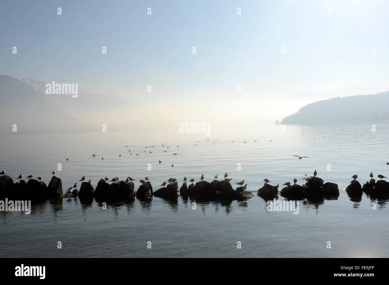 Large view of Annecy lake landscape in France and mountains Stock Photo ...
