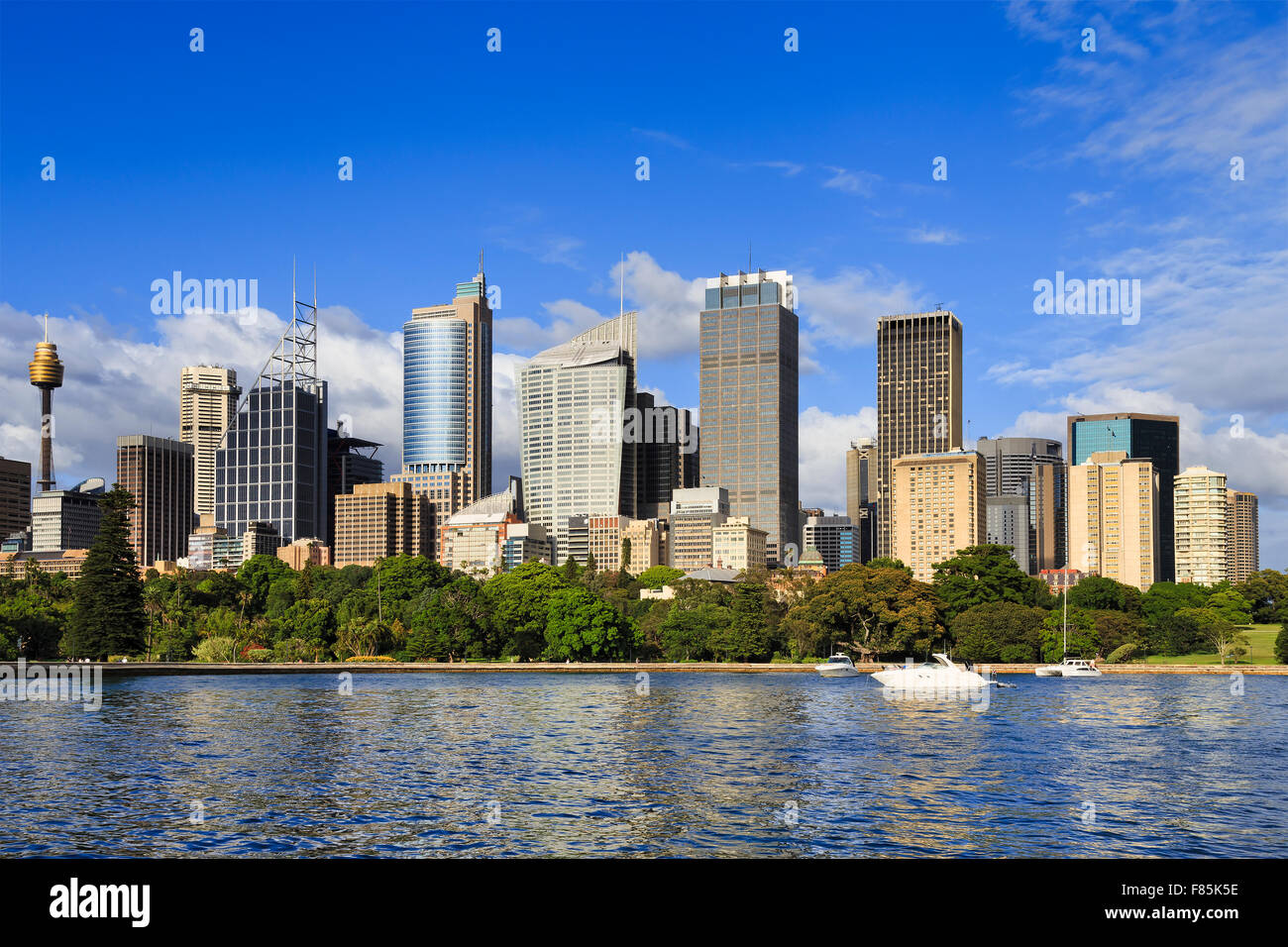 Royal national park in SYdney with City high rise business towers ...