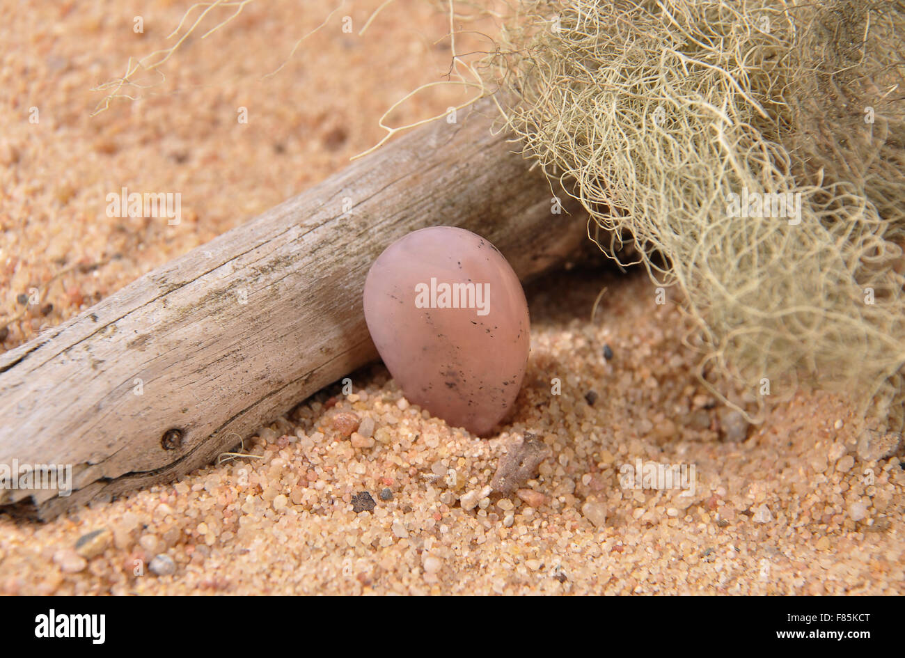 Rose quartz on beach Stock Photo - Alamy