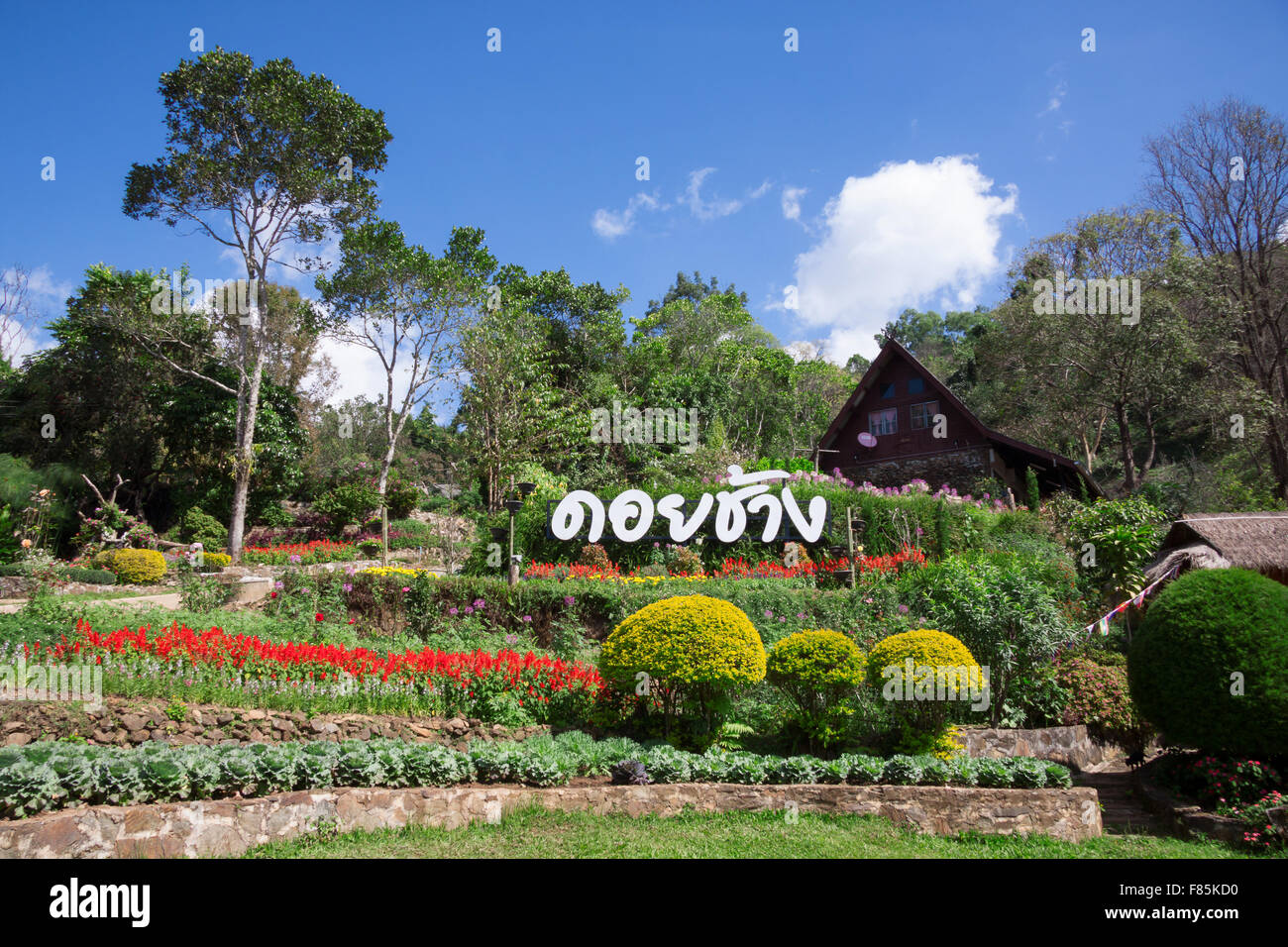 beautiful view of doi chang thailand Stock Photo - Alamy
