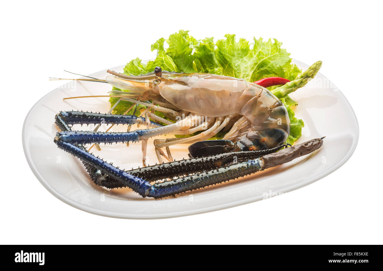 Big Freshwater prawn ready for cooking Stock Photo - Alamy