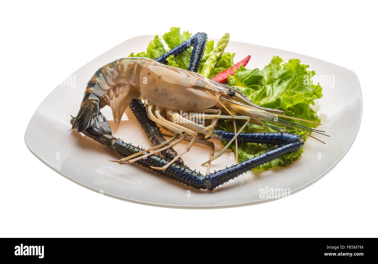 Big Freshwater prawn ready for cooking Stock Photo - Alamy