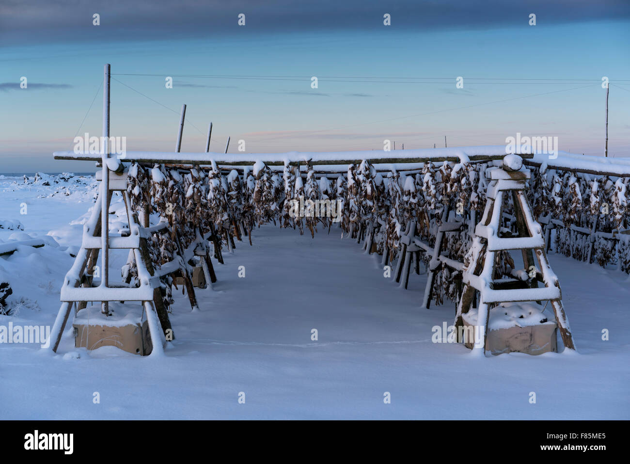 Iceland dried fish hi-res stock photography and images - Alamy