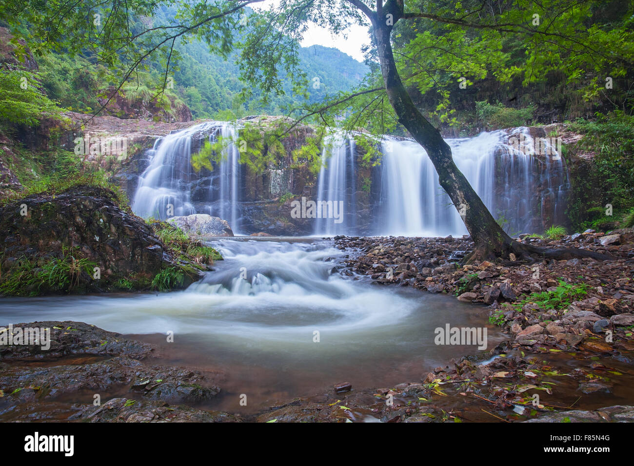 Natural waterfall in forest Stock Photo - Alamy