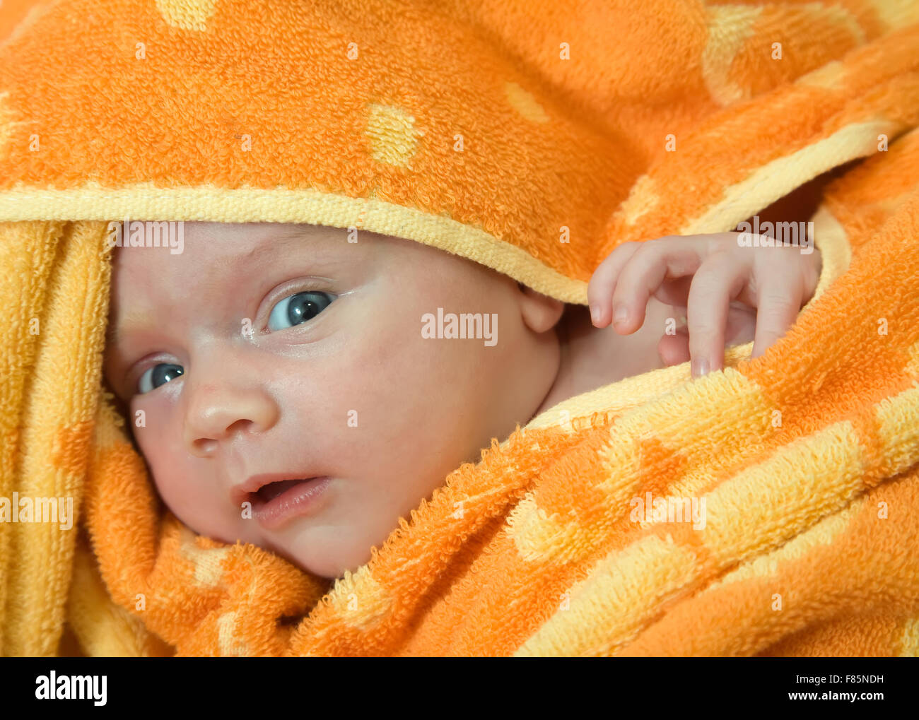 New born baby wrapped in warm blanket Stock Photo - Alamy