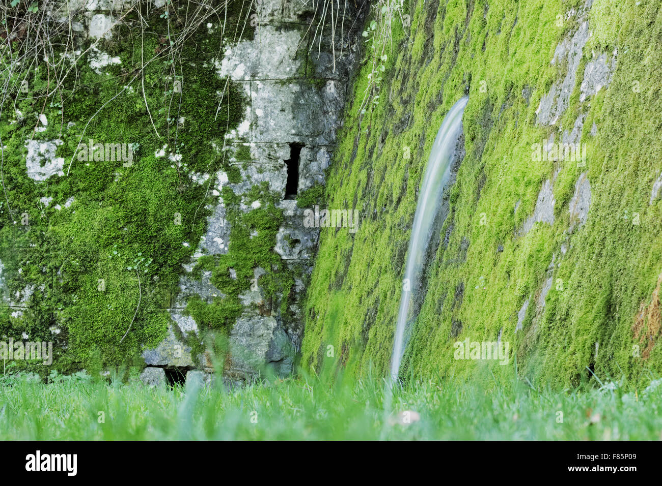 Pure fresh water source hi-res stock photography and images - Alamy