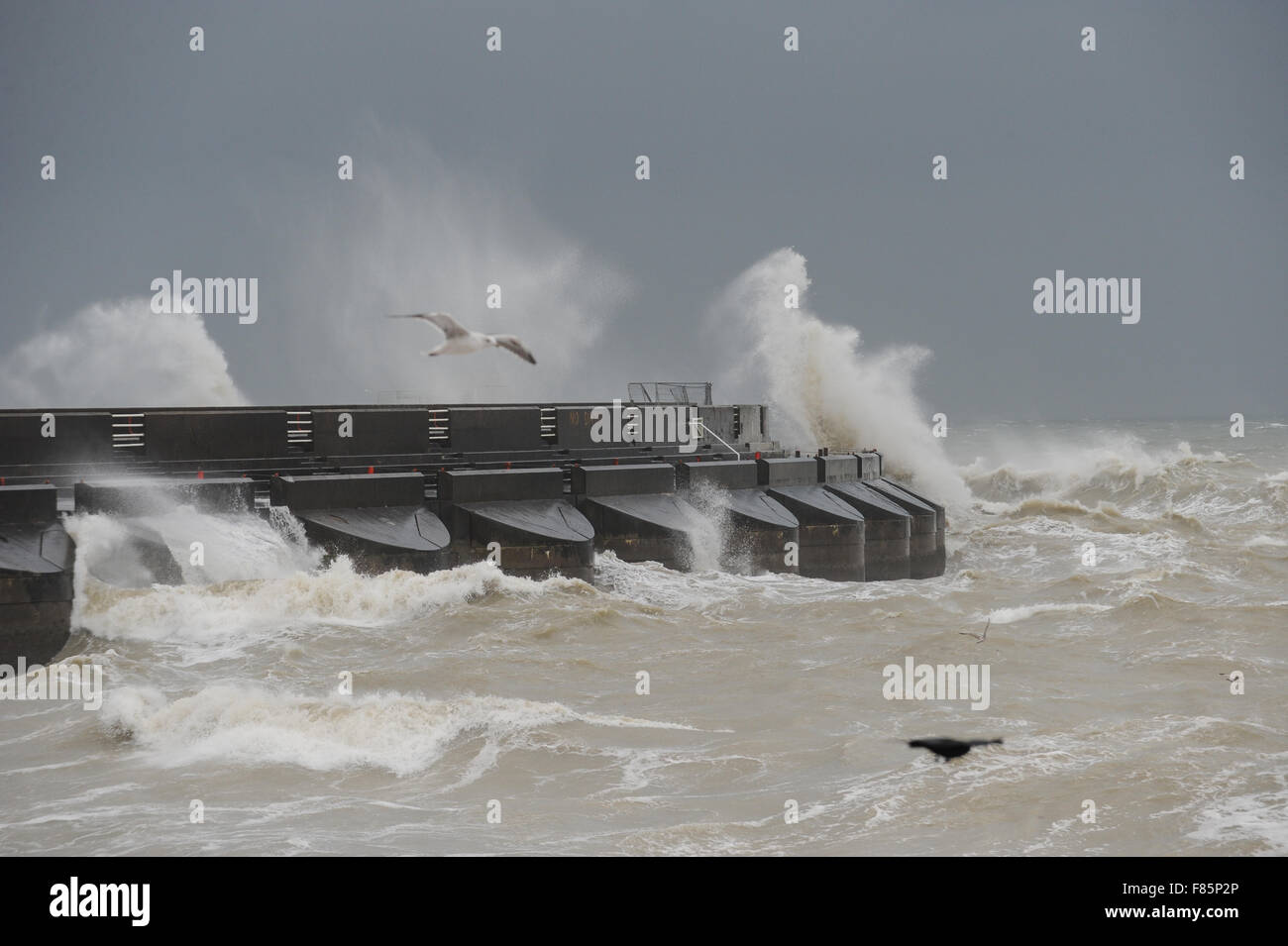 During Storm Desmond, seagulls battle against the high winds as large ...